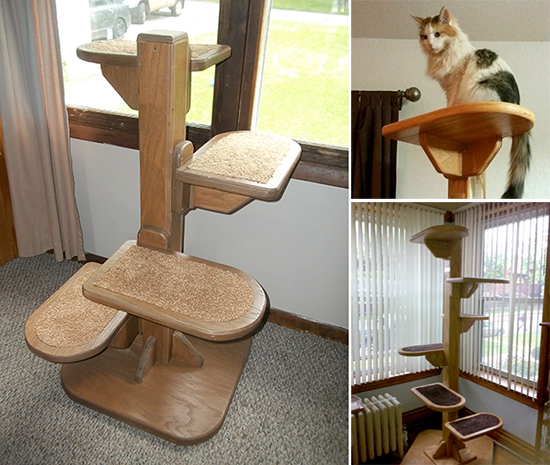 Enter to Win a Catreena Spiral Cat Tree from The Vertical Cat ...