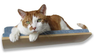 Modern Simplicity: Curve Cat Perch by Akemi Tanaka • hauspanther