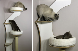 ARCHE Winding Cat Tree From Germany • hauspanther