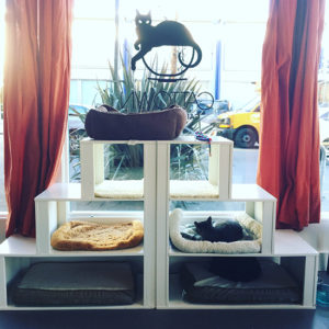 Cat Town Cafe :: Oakland, CA • hauspanther