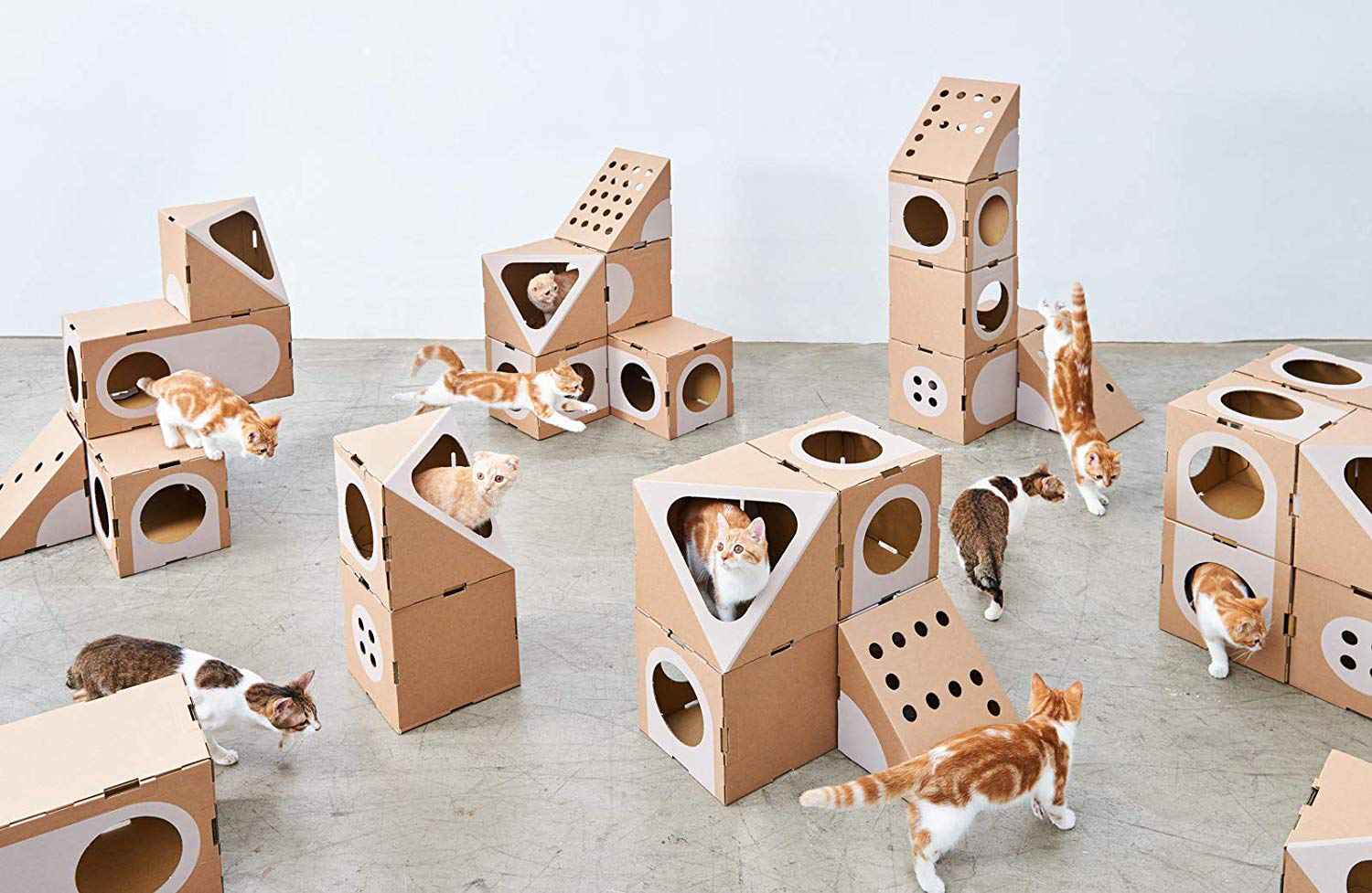 It s A Cat Thing Modular Cardboard Cat House Hauspanther