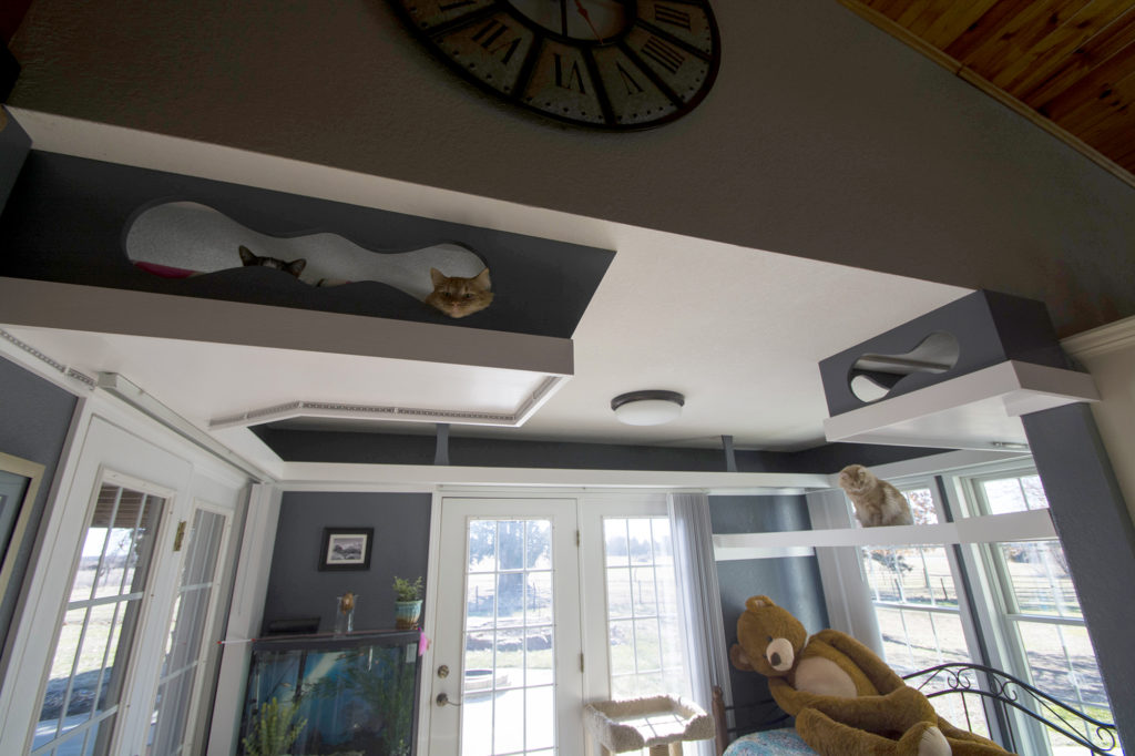 Beautiful Custom Catwalk For Some Very Lucky Cats • Hauspanther