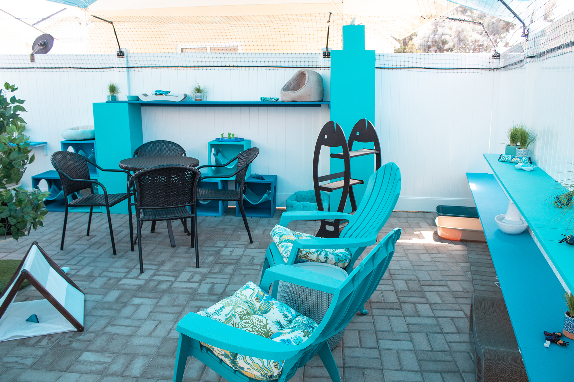 Rancho Coastal Humane Society Catio Gets A Catification Makeover