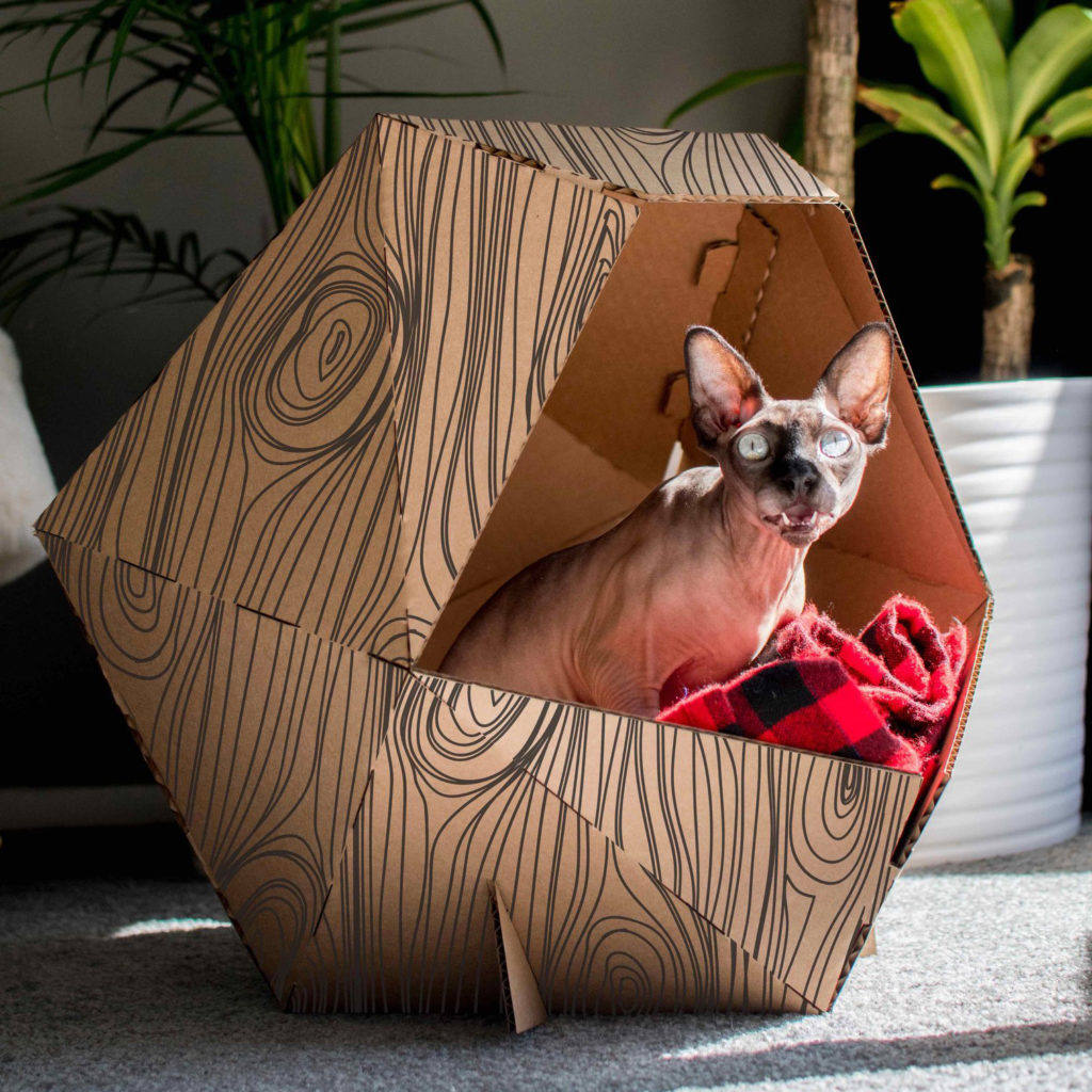 DHUMA Pet Dwellings: Aesthetically Designed with a DIY Experience ...