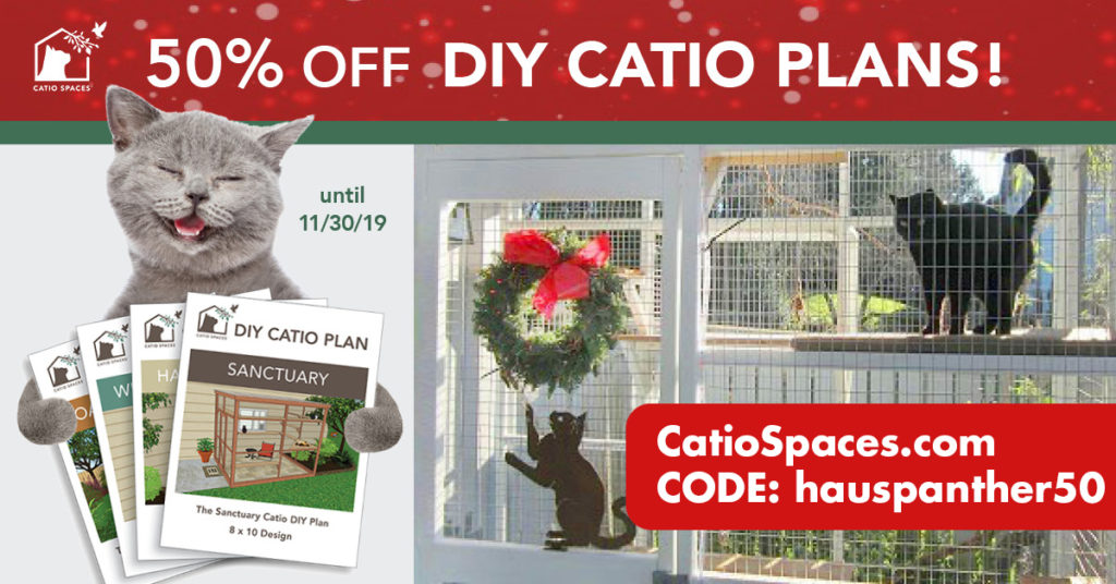 Incredible Catios By Catio Spaces In Seattle Plus Special Discount On