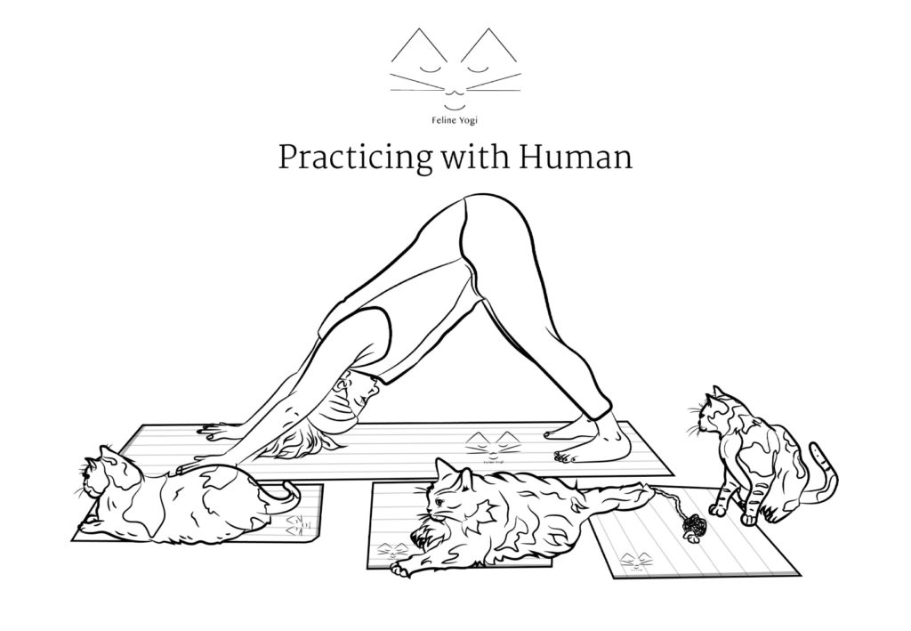 De-stress With Feline Yogi Coloring Book • hauspanther