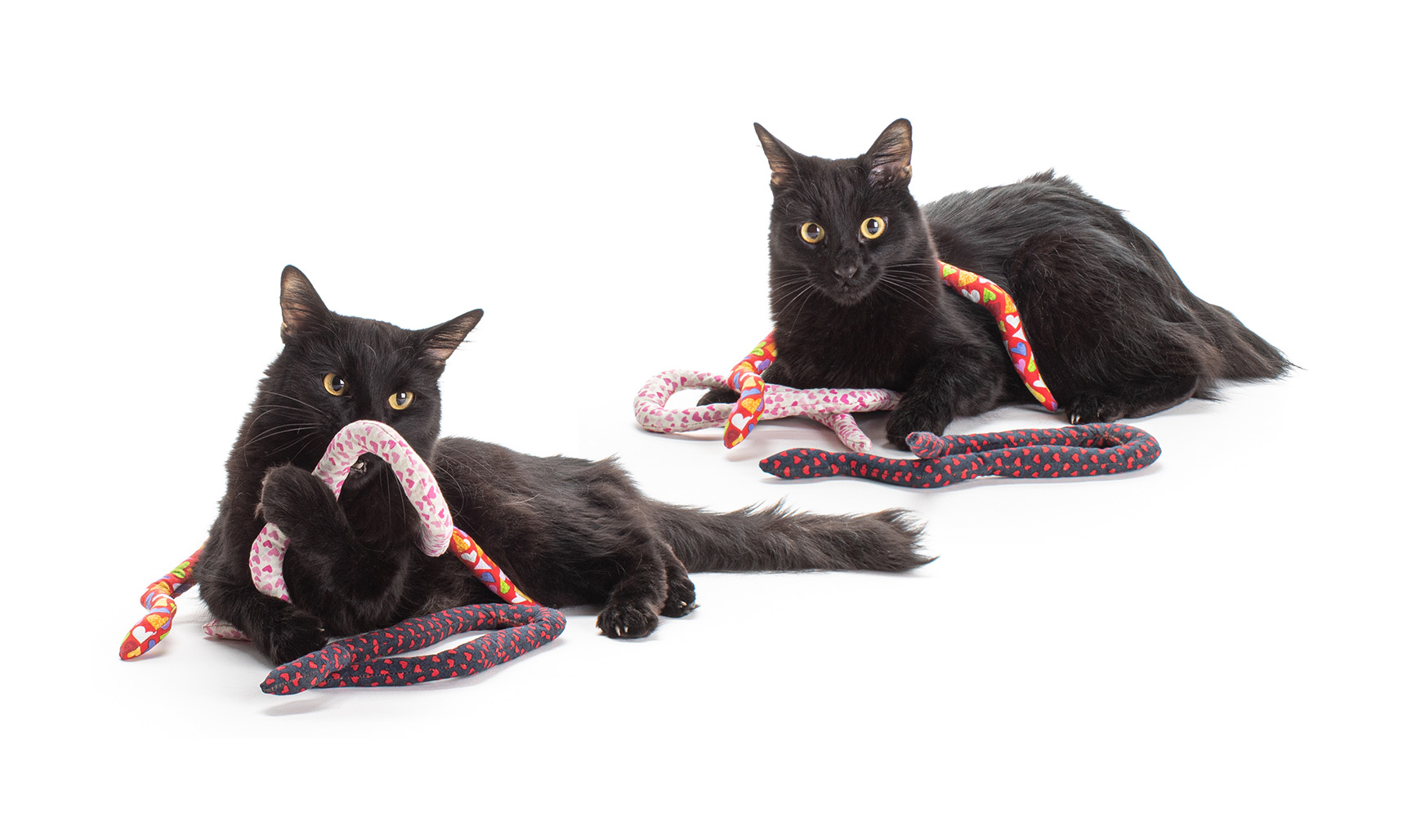 Valentine Catnip Snakes Are Here! • hauspanther