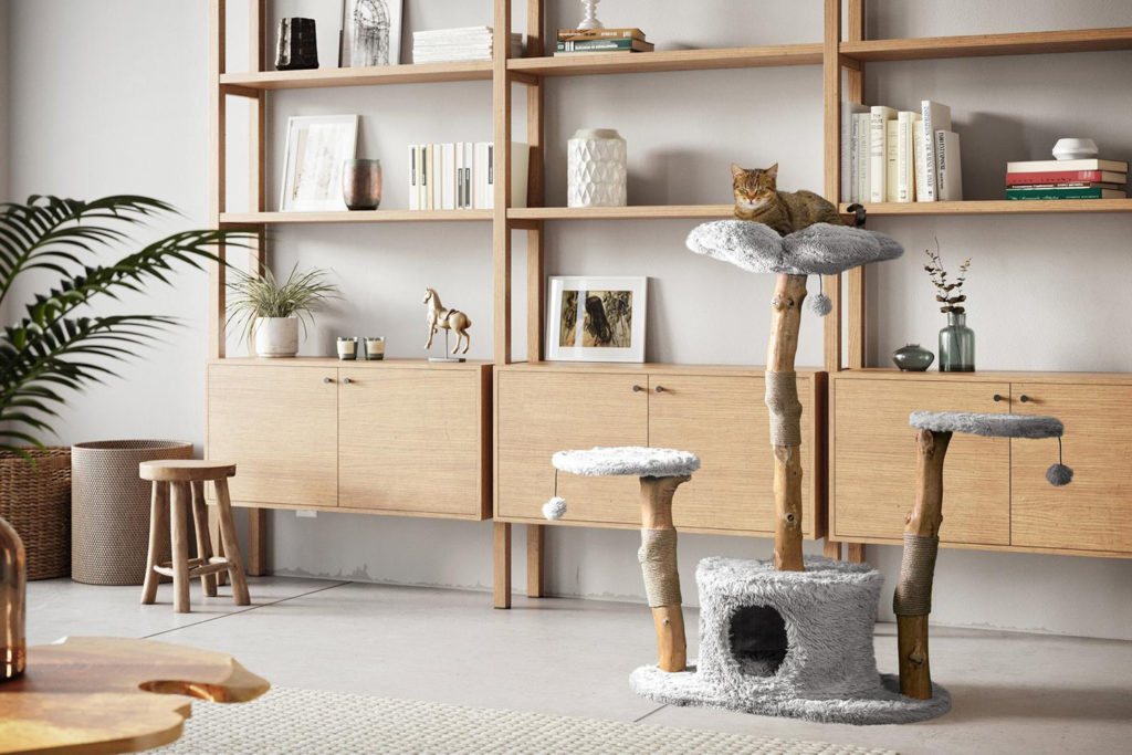 Natural Wood Cat Trees with Modern Flair • hauspanther