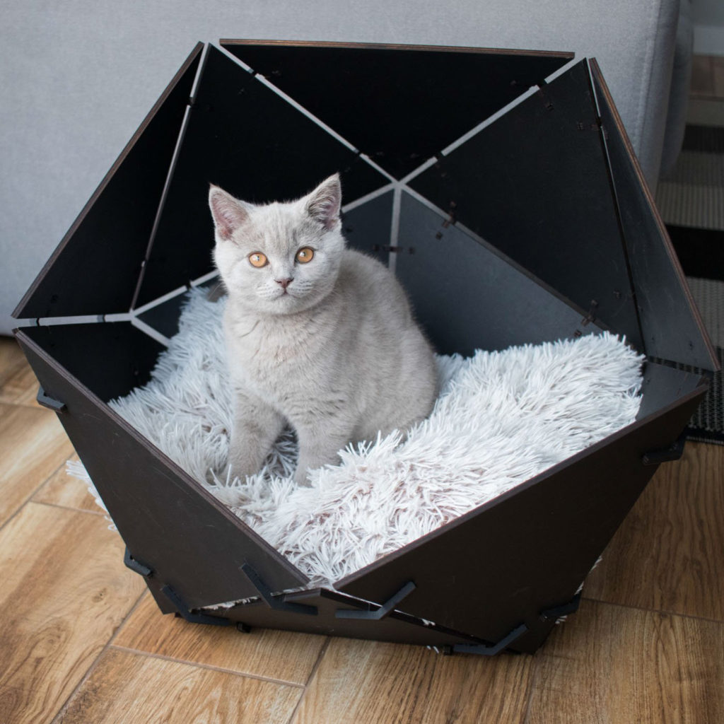 Modern Geometric Cat Cave • hauspanther