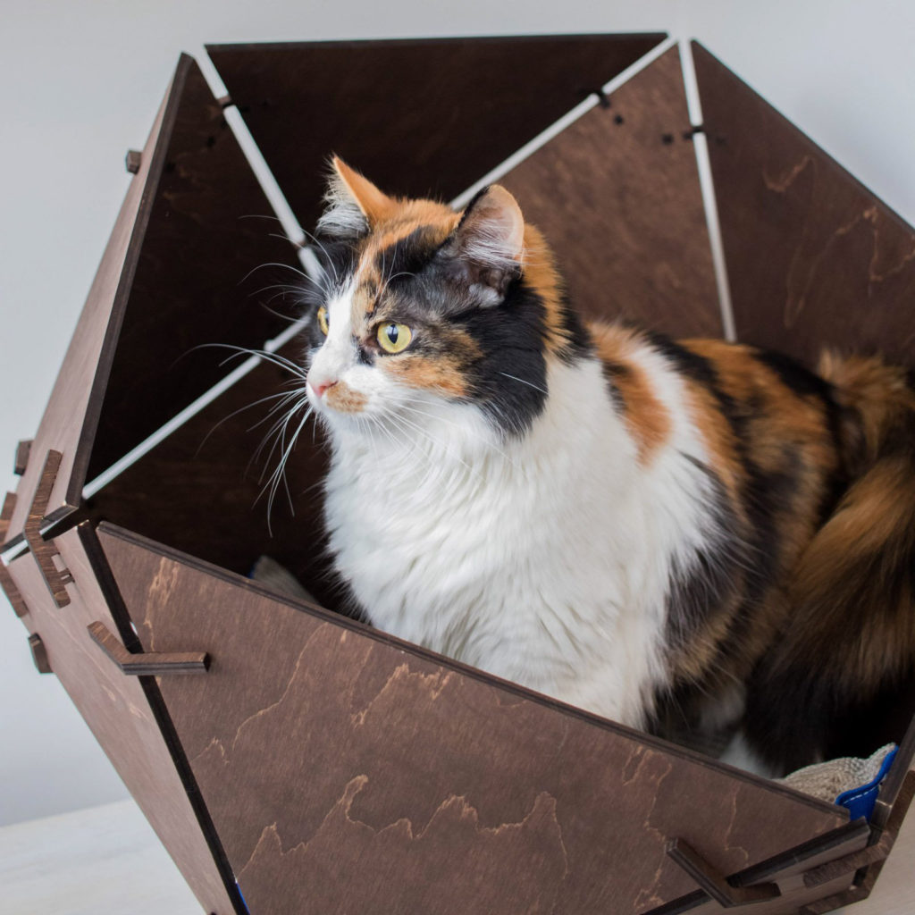 Modern Geometric Cat Cave • hauspanther