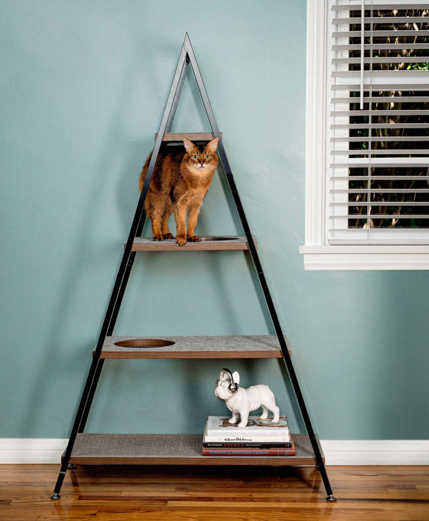 Cat Pyramid Modern Climber • hauspanther