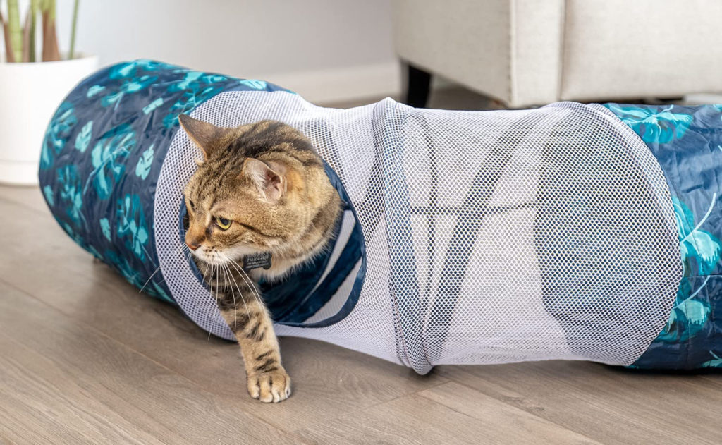PetFusion KittyCurve Transparent Cat Tunnel • hauspanther