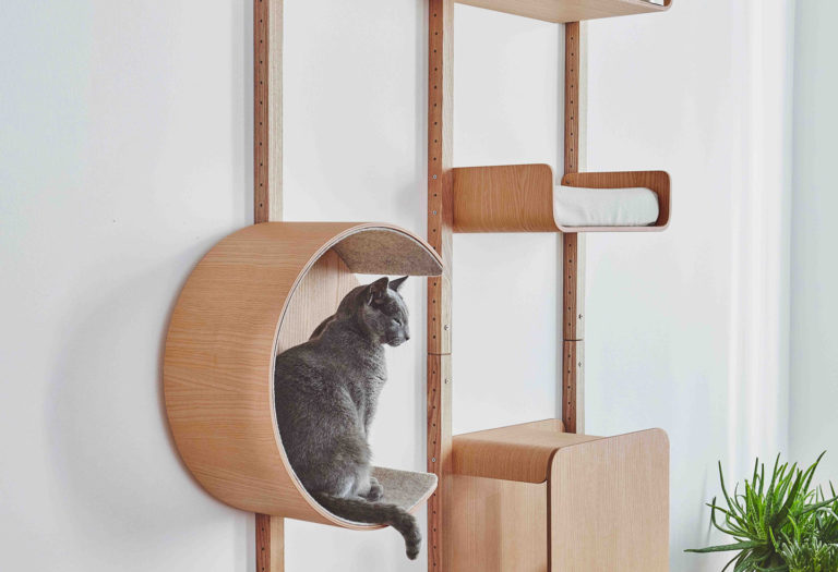 Miacara Alto Wall Climber • Hauspanther
