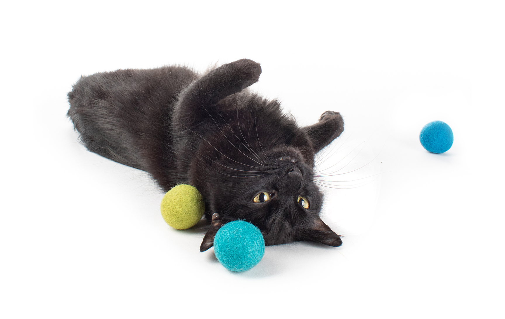 Eco-friendly Wool Felt Cat Toys from Nepal • hauspanther