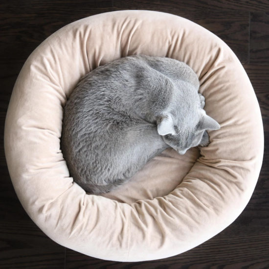 Luxury Velvet Cat Bed • hauspanther