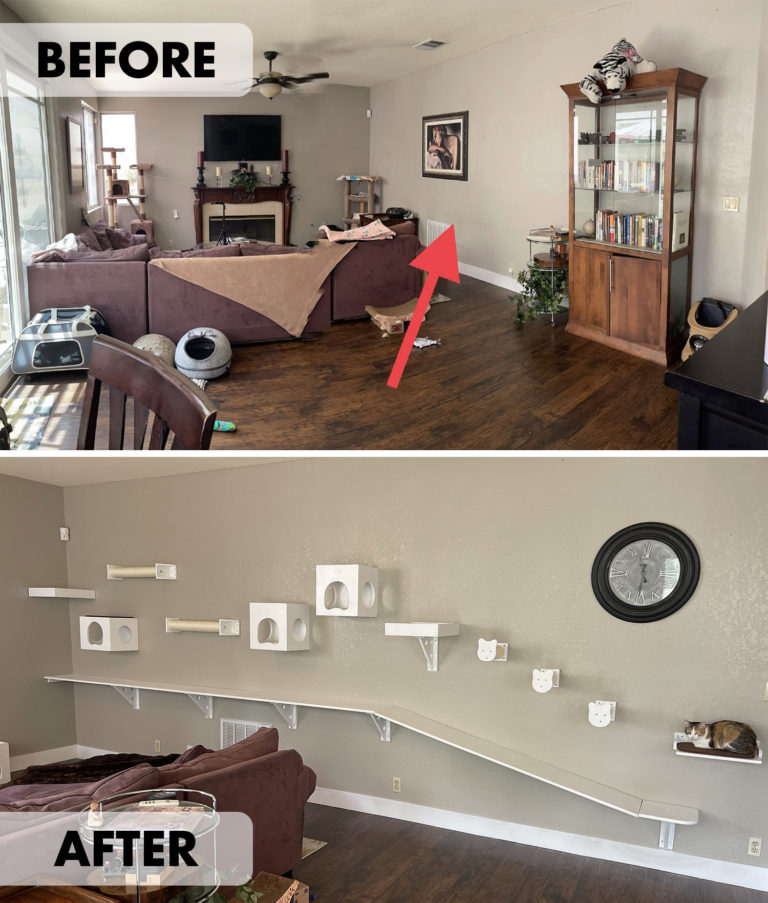 Catification Makeover The Ultimate Cat Superhighway For The Two Crazy