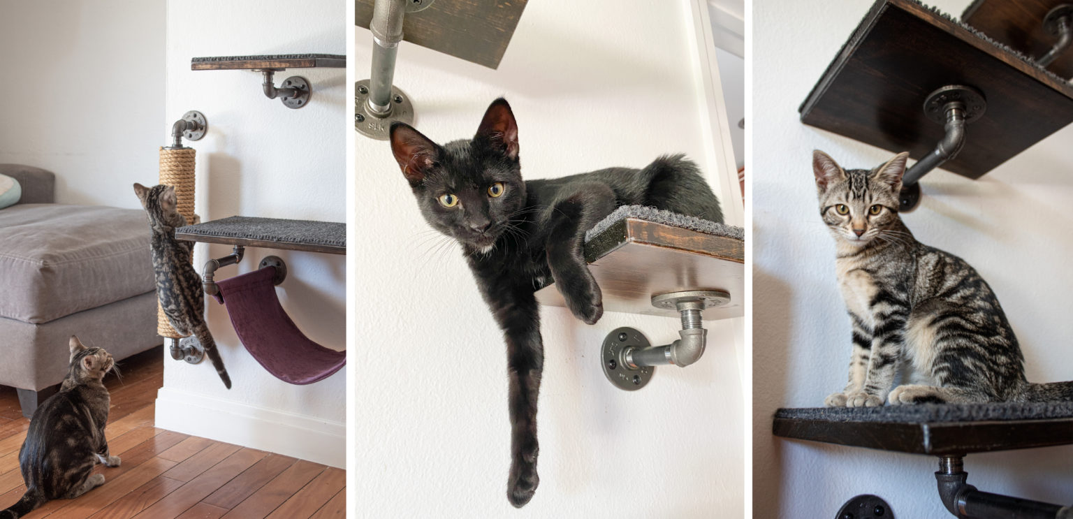 DIY Catification: Industrial Pipe Decor Cat Climbing Wall • hauspanther