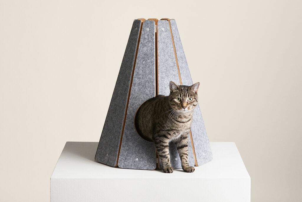 Unique Modern Cat Beds for Your Favorite Feline • hauspanther