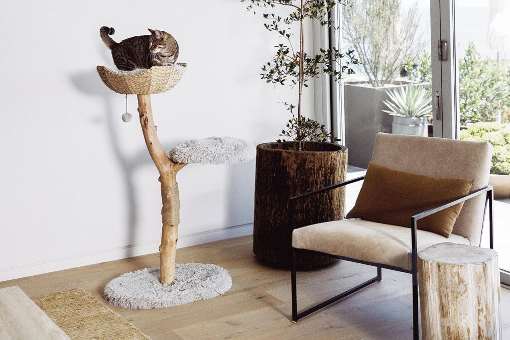Modern Natural Wood Cat Trees from Mau Lifestyle • hauspanther
