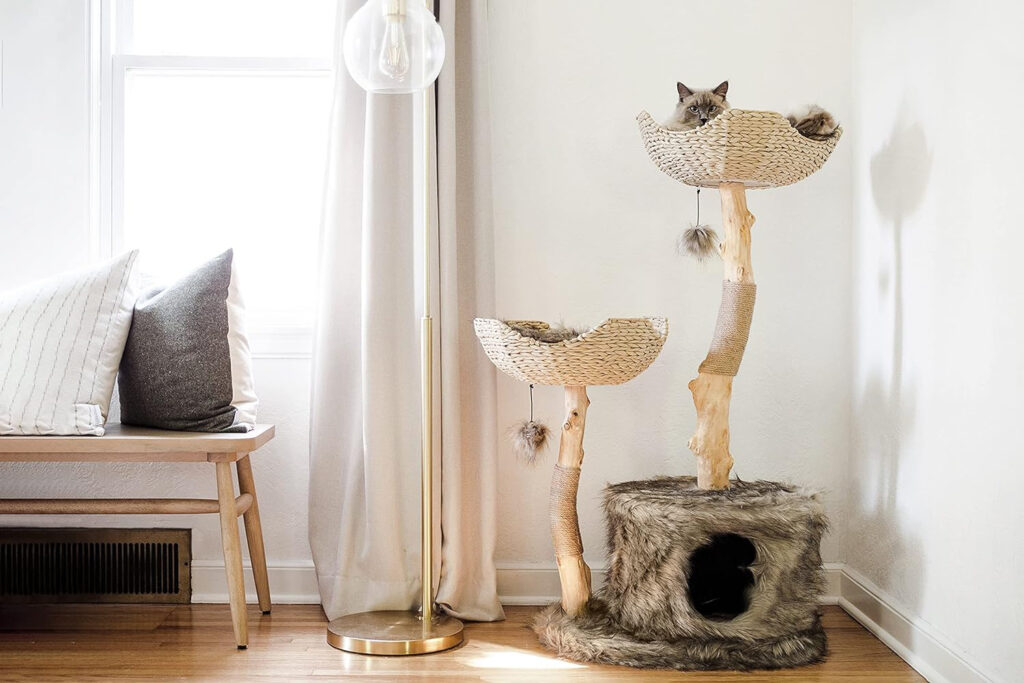 Modern Natural Wood Cat Trees from Mau Lifestyle • hauspanther