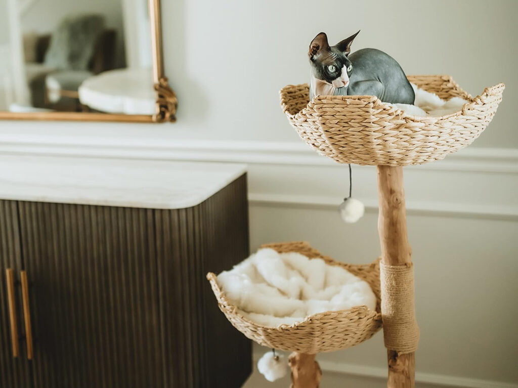 Modern Natural Wood Cat Trees from Mau Lifestyle • hauspanther