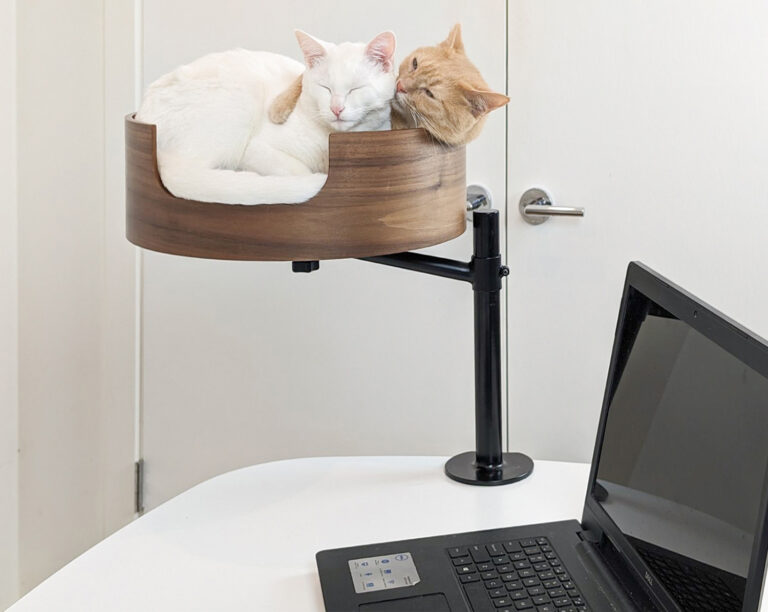 Introducing Desk Nest: The Perfect Cat Bed For Your Office! • hauspanther