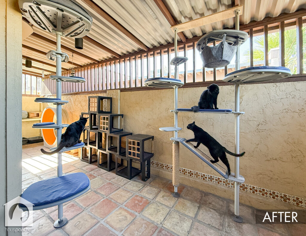 Spruce Up Your Catio with the Freestyle Outdoor Cat Tree from Omlet