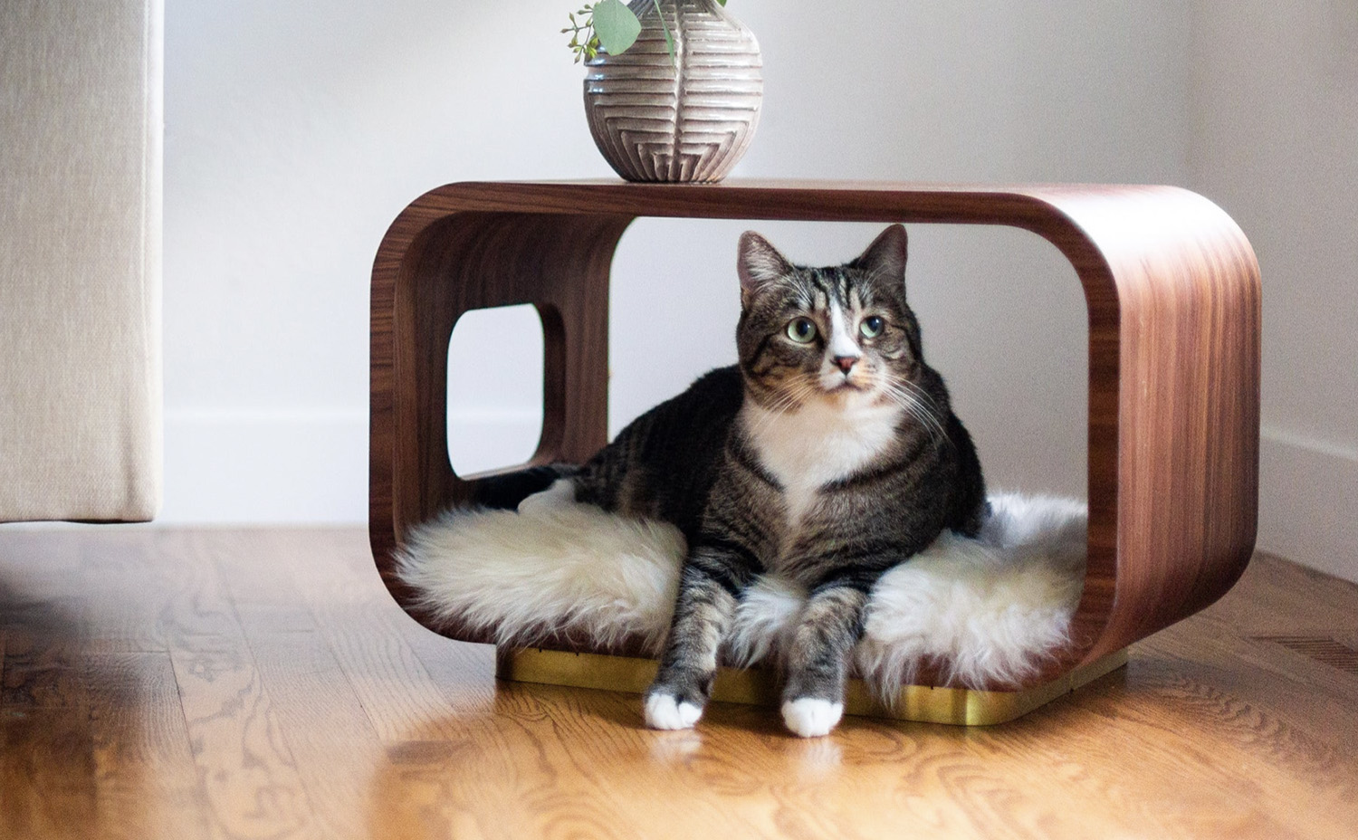 LUNA Modern Cat Bed